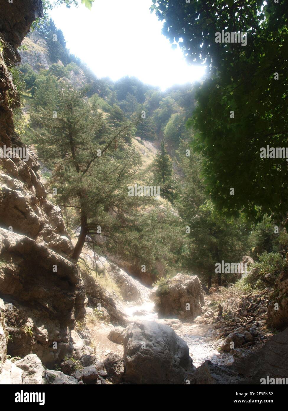 Canyon, Crete, Greece Stock Photo - Alamy