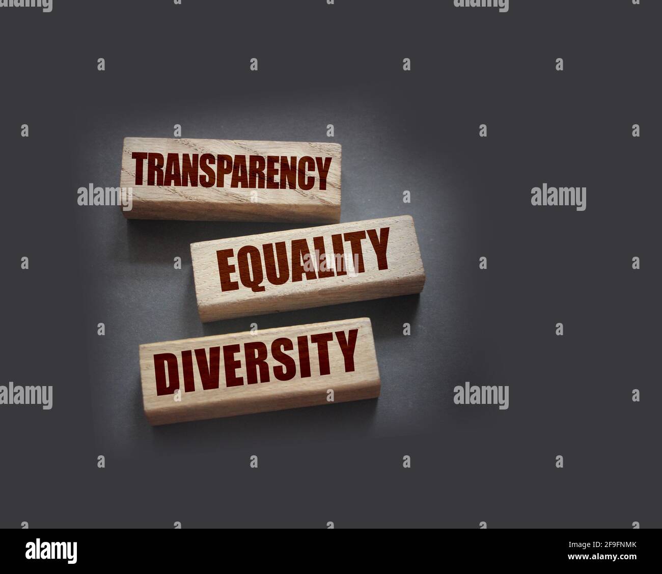 Transparency Equality diversity words on long wooden blocks on black ...