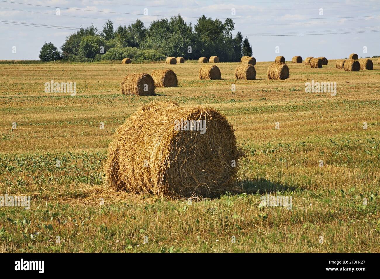 Landscape near Petkovichi village. Belarus Stock Photo - Alamy
