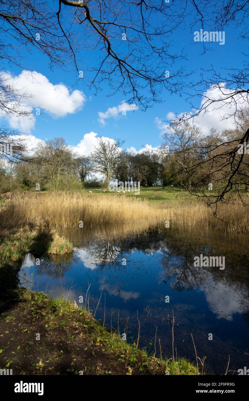 The farm pond hi-res stock photography and images - Alamy