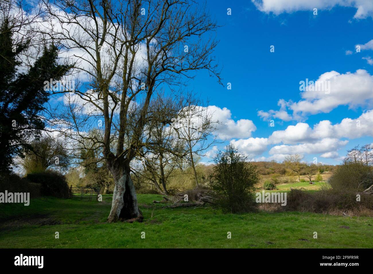 Swardeston hi-res stock photography and images - Alamy