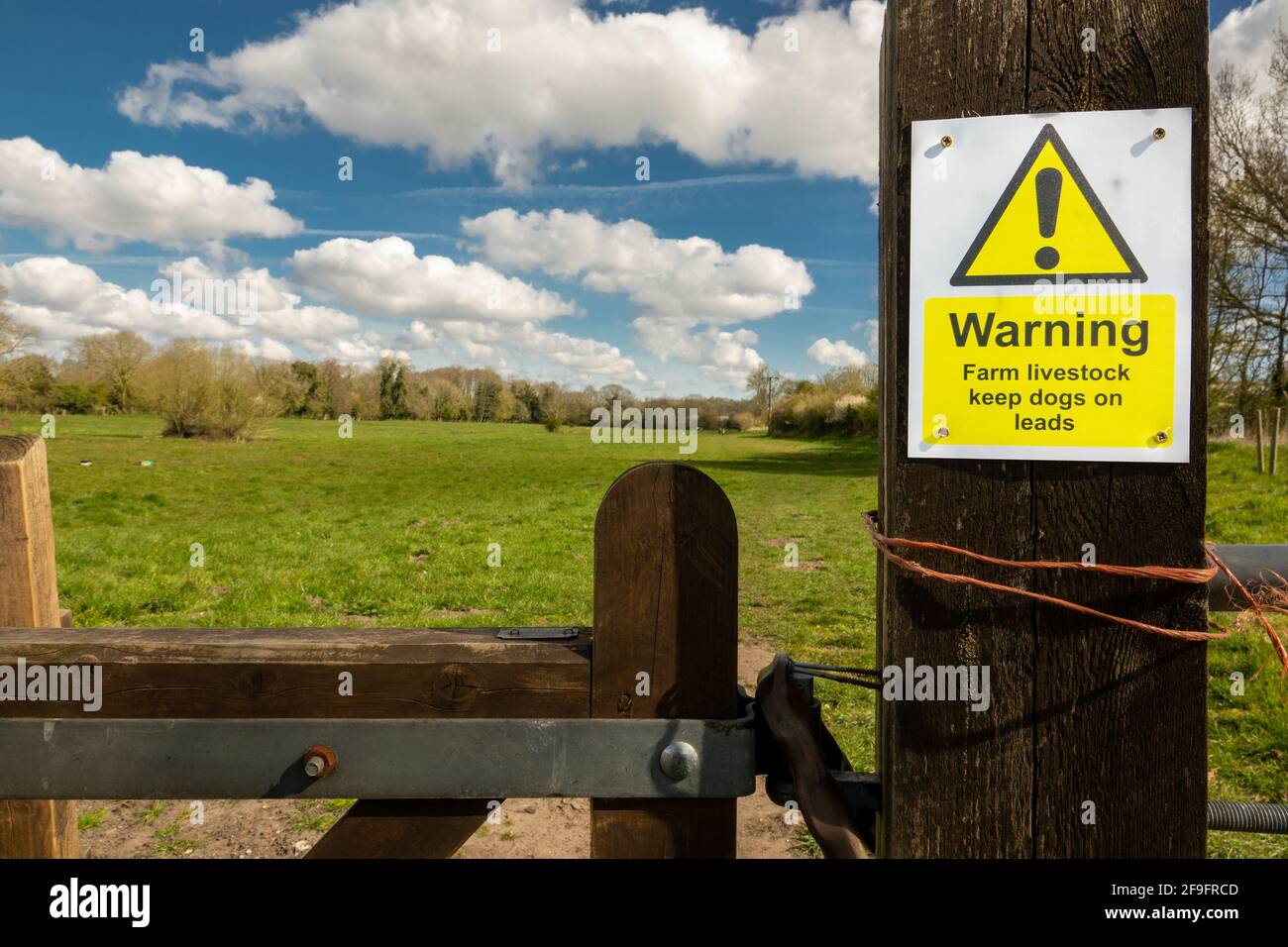 Livestock in Field, a warning sign on footpath Stock Photo - Alamy
