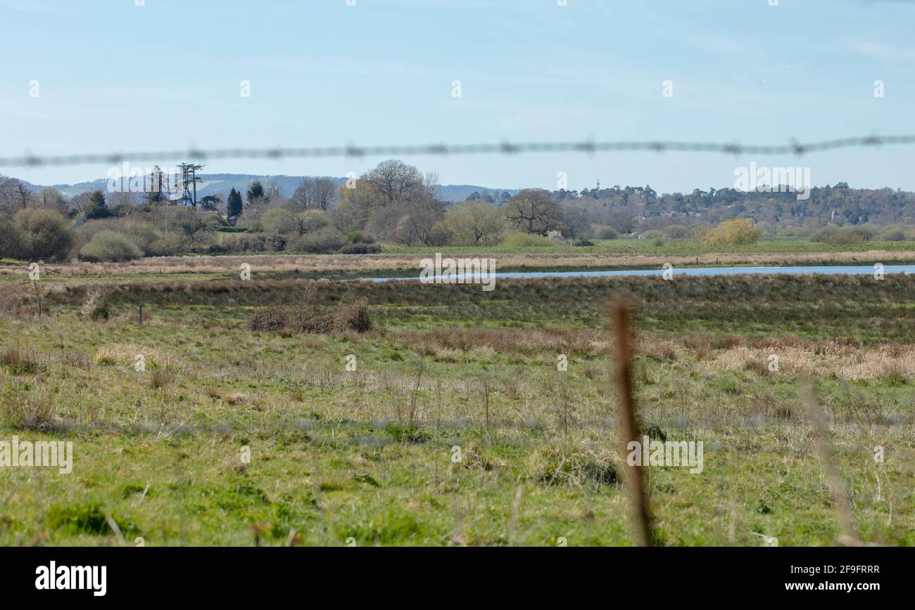 Wetland landscape seen through a barbed wired fence Stock Photo - Alamy