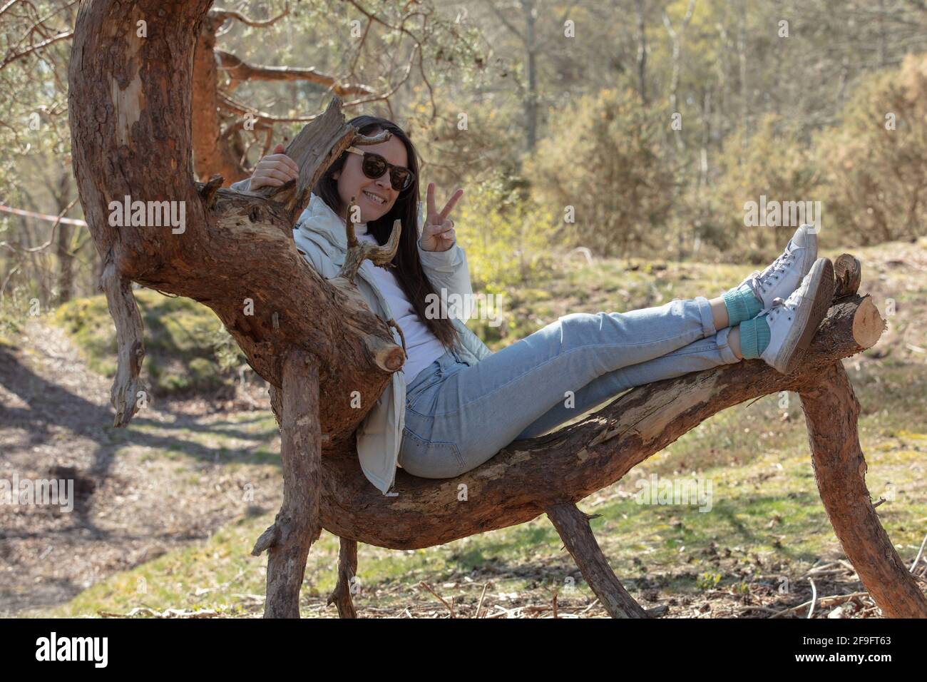 Woman seen relaxing on a tree branch in the UK Stock Photo - Alamy