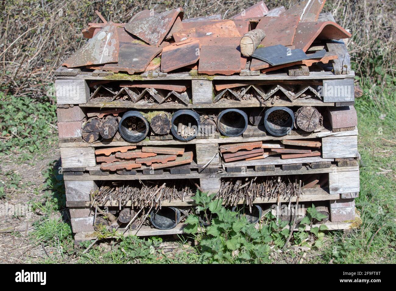 Insect hotel seen in England, UK Stock Photo - Alamy