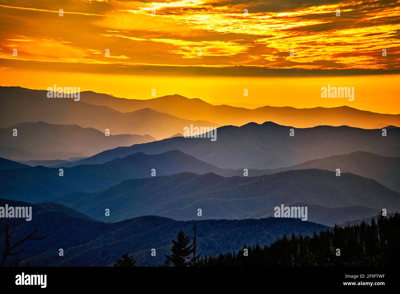 Great smoky mountains walking hi-res stock photography and images - Alamy