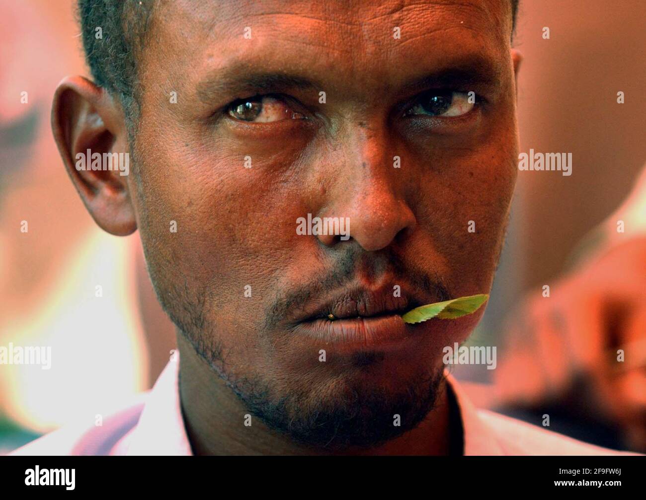 SOME MEN SPEND MUCH OF THE AFTERNOON CHEWING KHAT IN THE MARKET PLACE ...