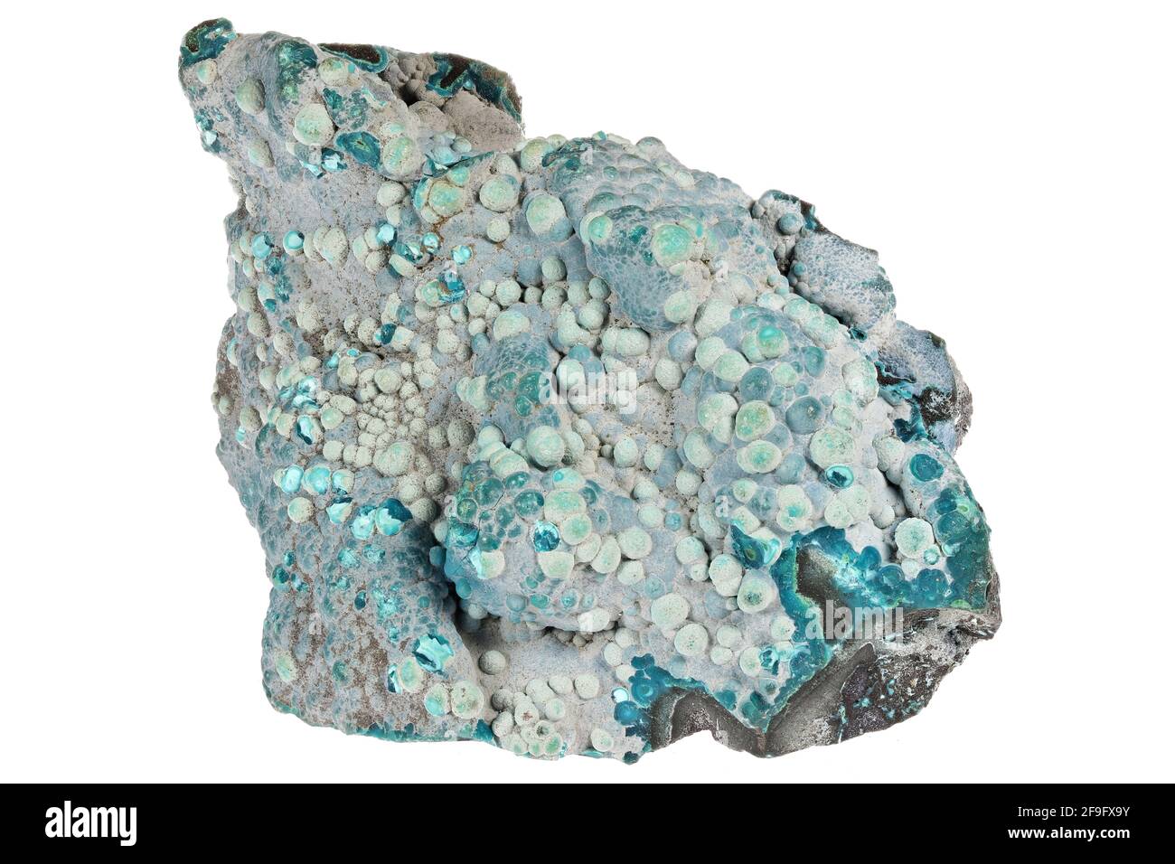 botryoidal chrysocolla from Kalukluku, DR Congo isolated on white ...