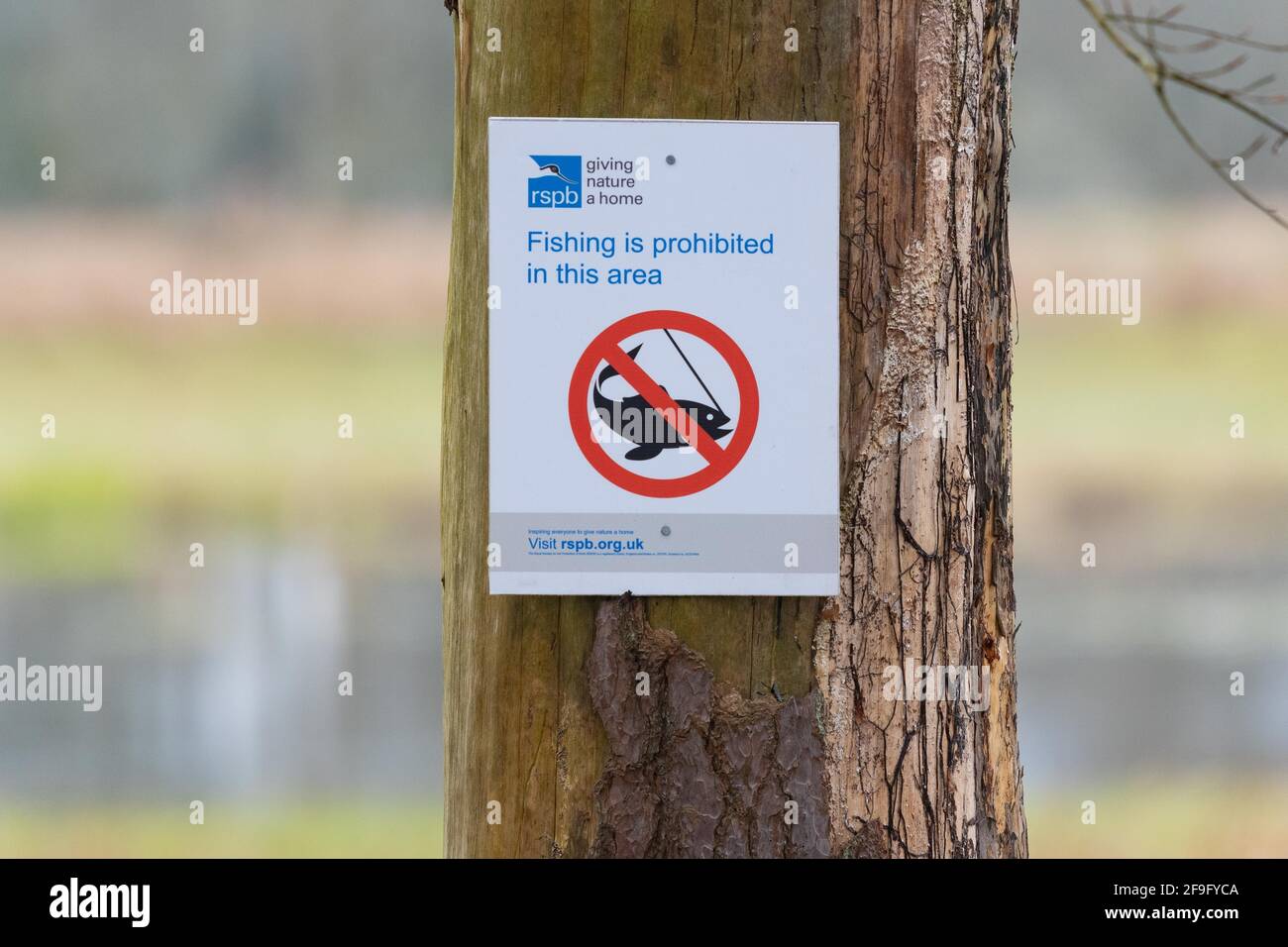 RSPB fishing is prohibited in this area sign at Wards Pond, part of ...