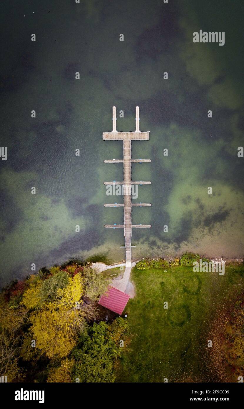 An aerial shot of pier on algae lake near the forest Stock Photo - Alamy