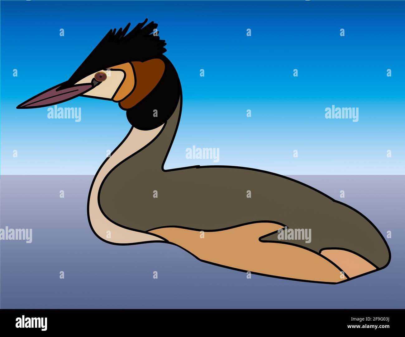 A graphic illustration of Great crested Grebe for use as an icon, logo ...