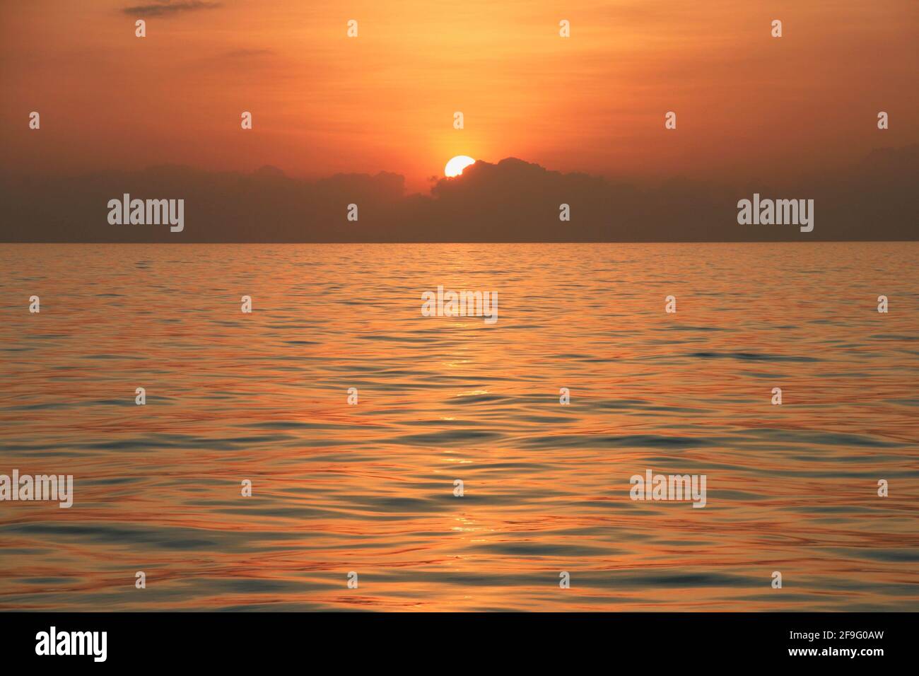 Tropical sunset over the Great Barrier Reef, Australia Stock Photo - Alamy