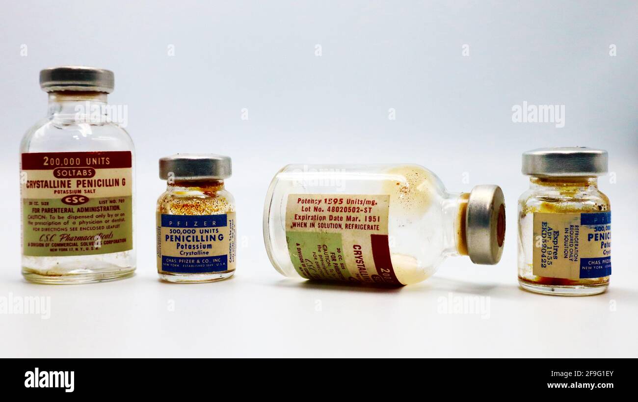 Penicillin Bacteria High Resolution Stock Photography and Images - Alamy