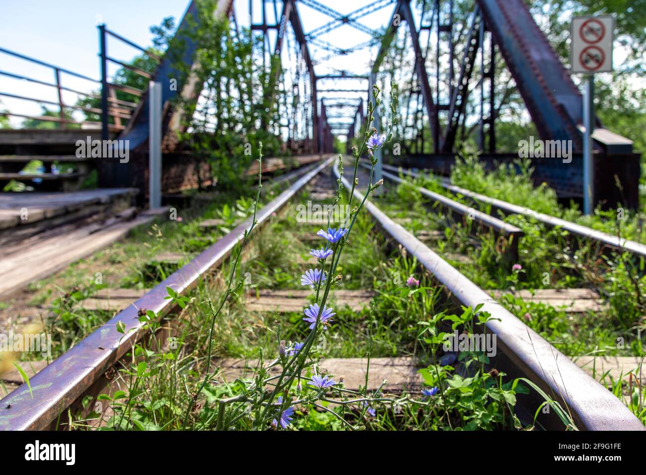 view of a super tall and long steel bridge in summer with blue sky from ...