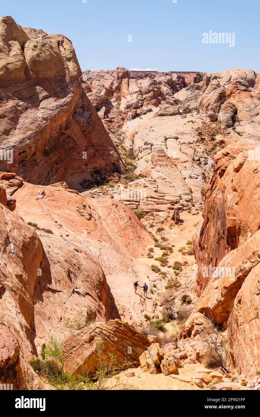 Husband gives wife a hand hi-res stock photography and images - Alamy