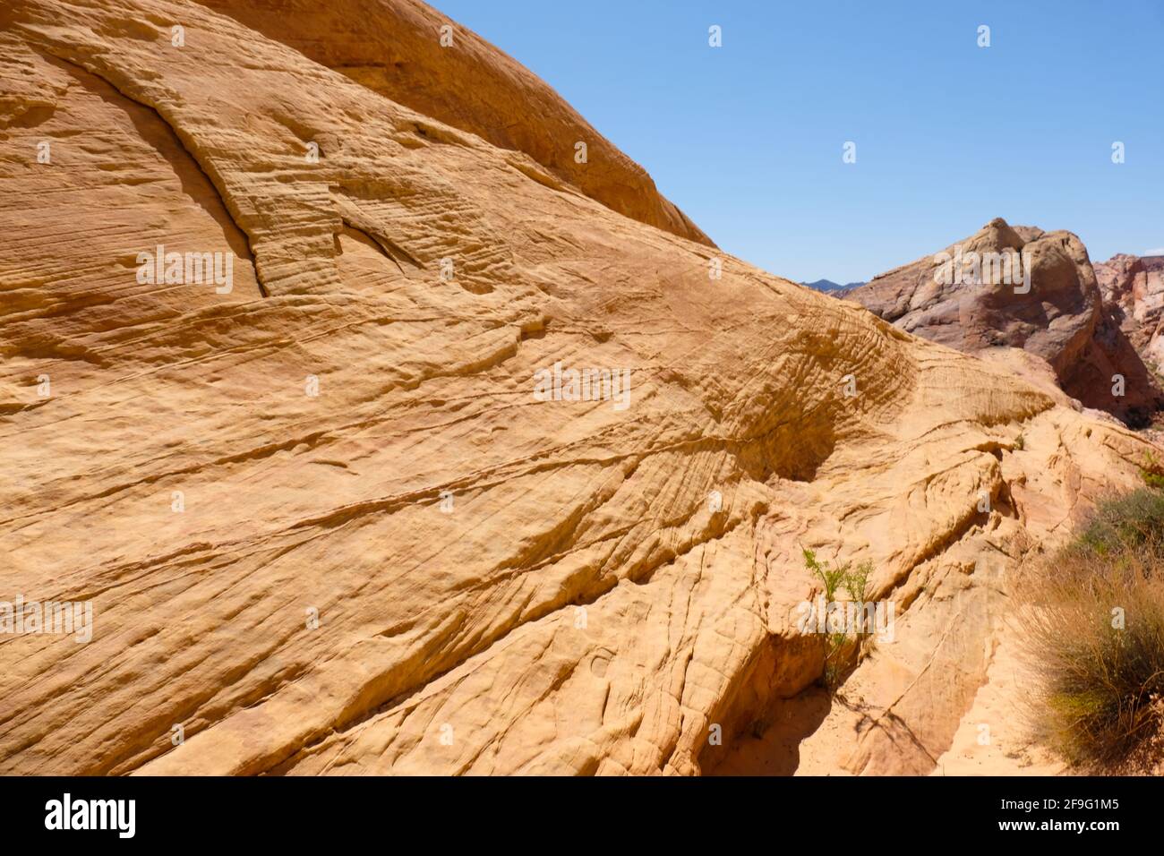 Close up View of Weathered and Erosion Lines On Yellowish Limestone and ...