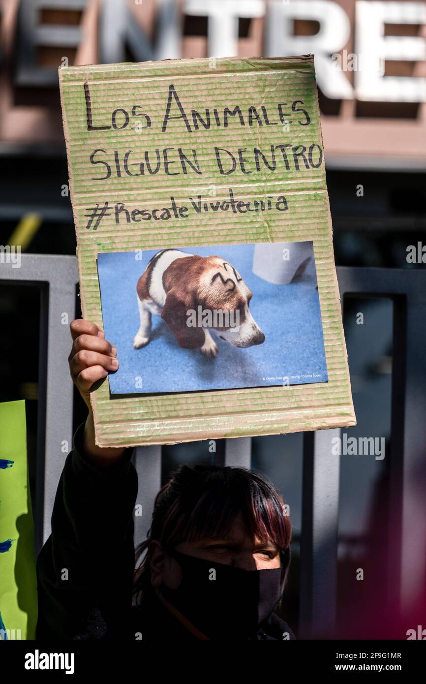 A protester holds a placard against experimentation and cruelty to ...