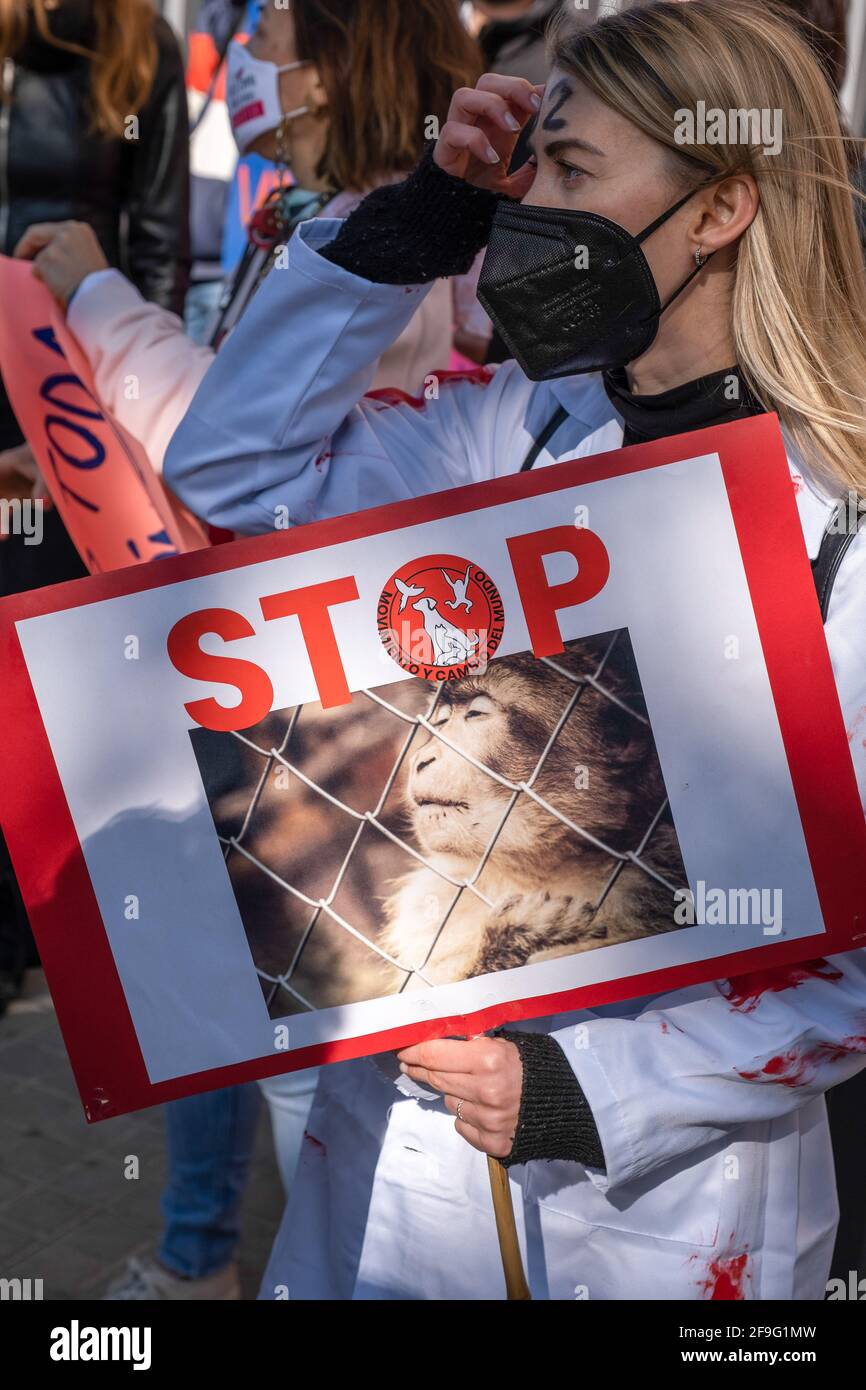 Barcelona, Spain. 18th Apr, 2021. A protester holds a placard against ...