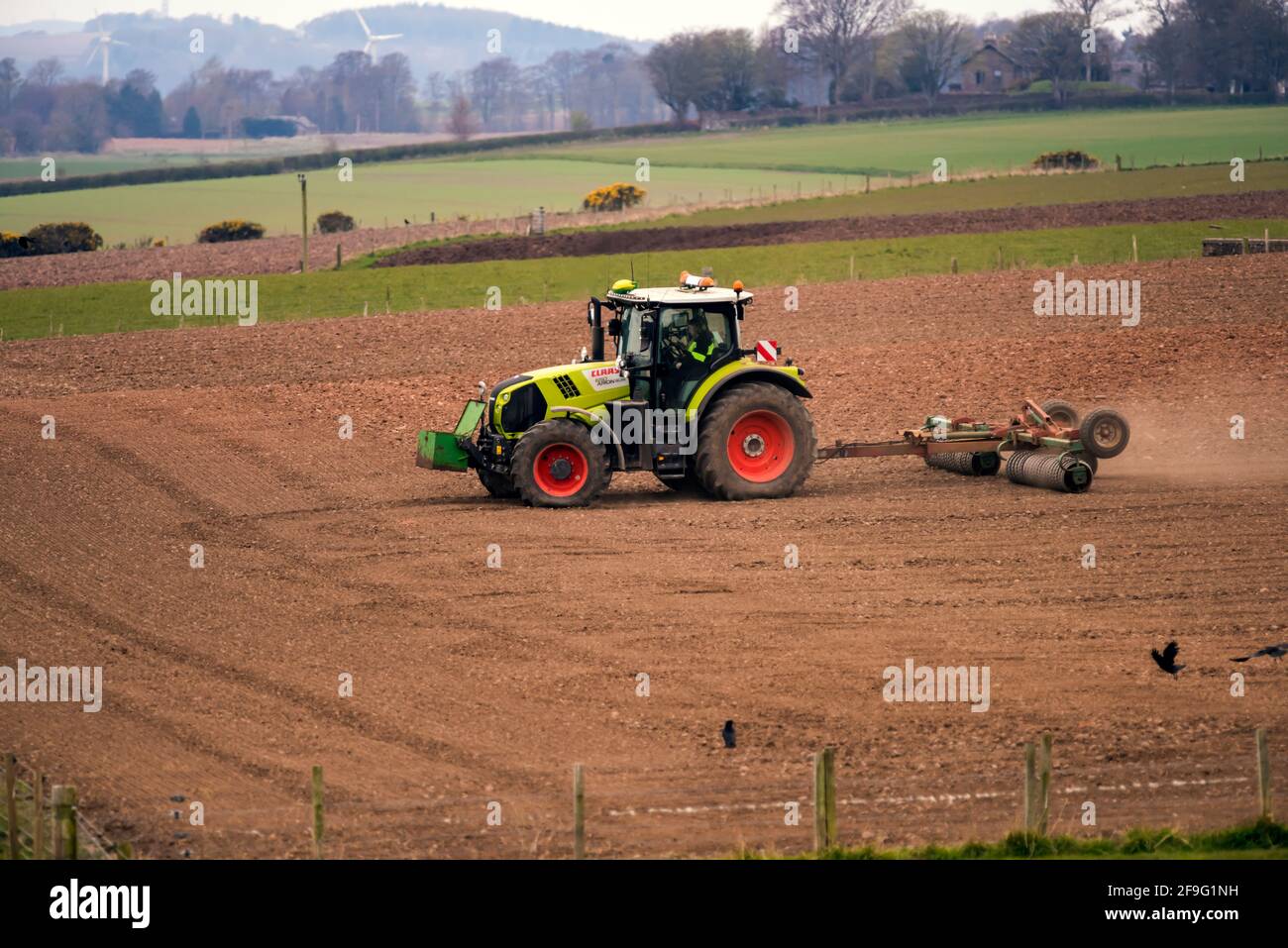 Landscape view of tractor rolling a field after planting barley Stock ...