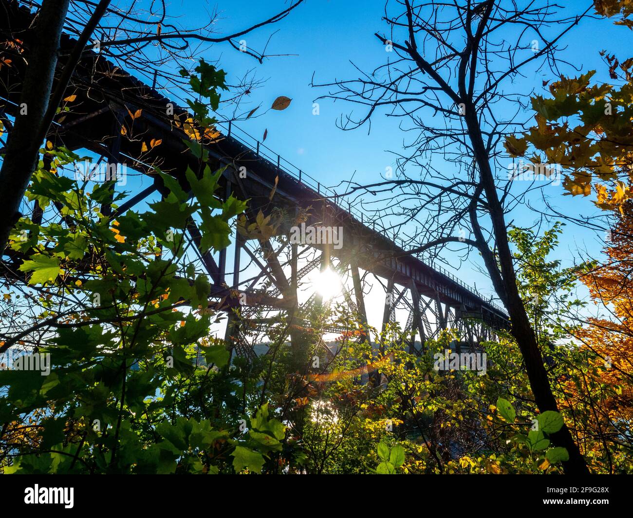 bridge behind trees with sun setting behind the metal structure in ...