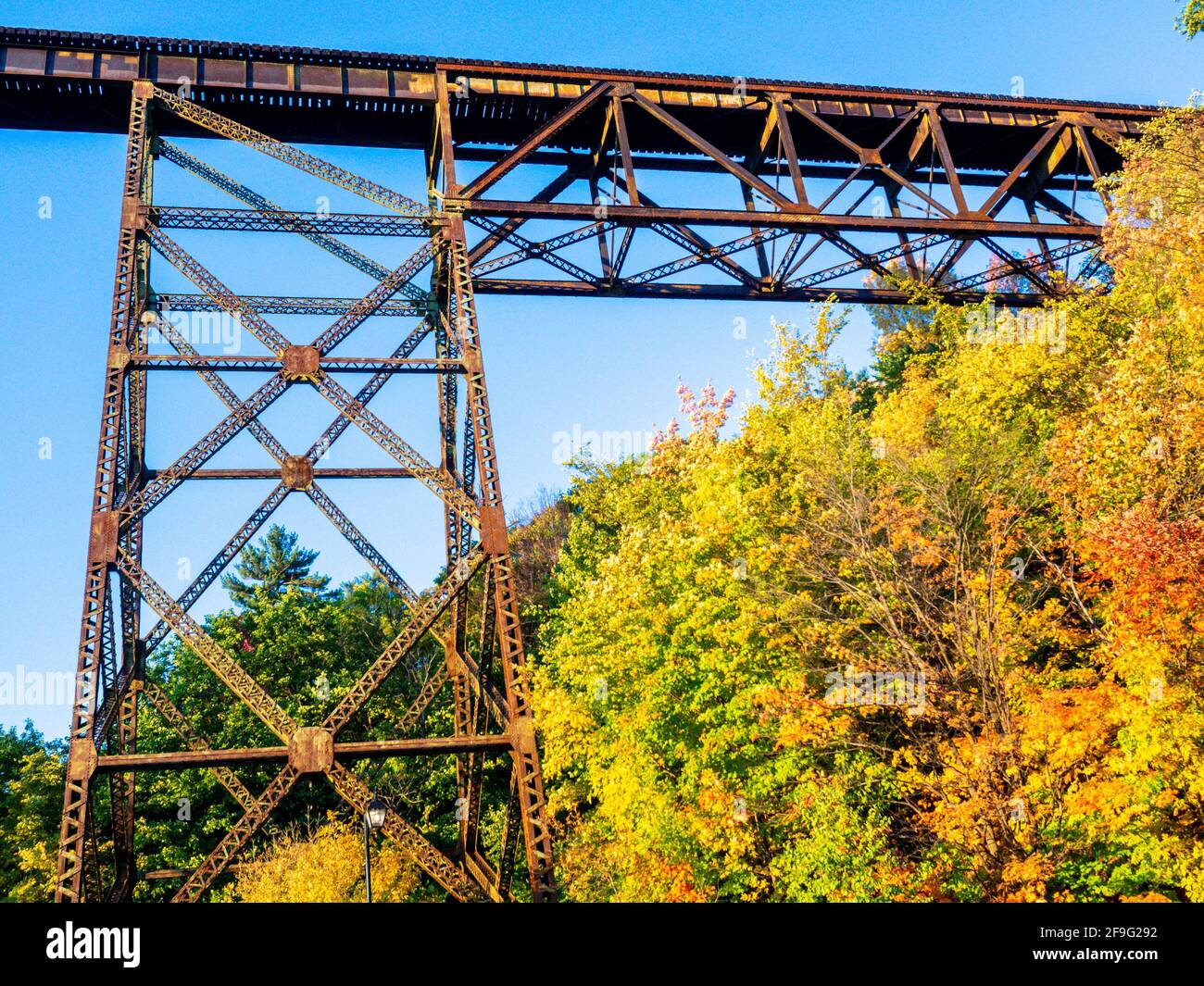 Tree structure hi-res stock photography and images - Alamy