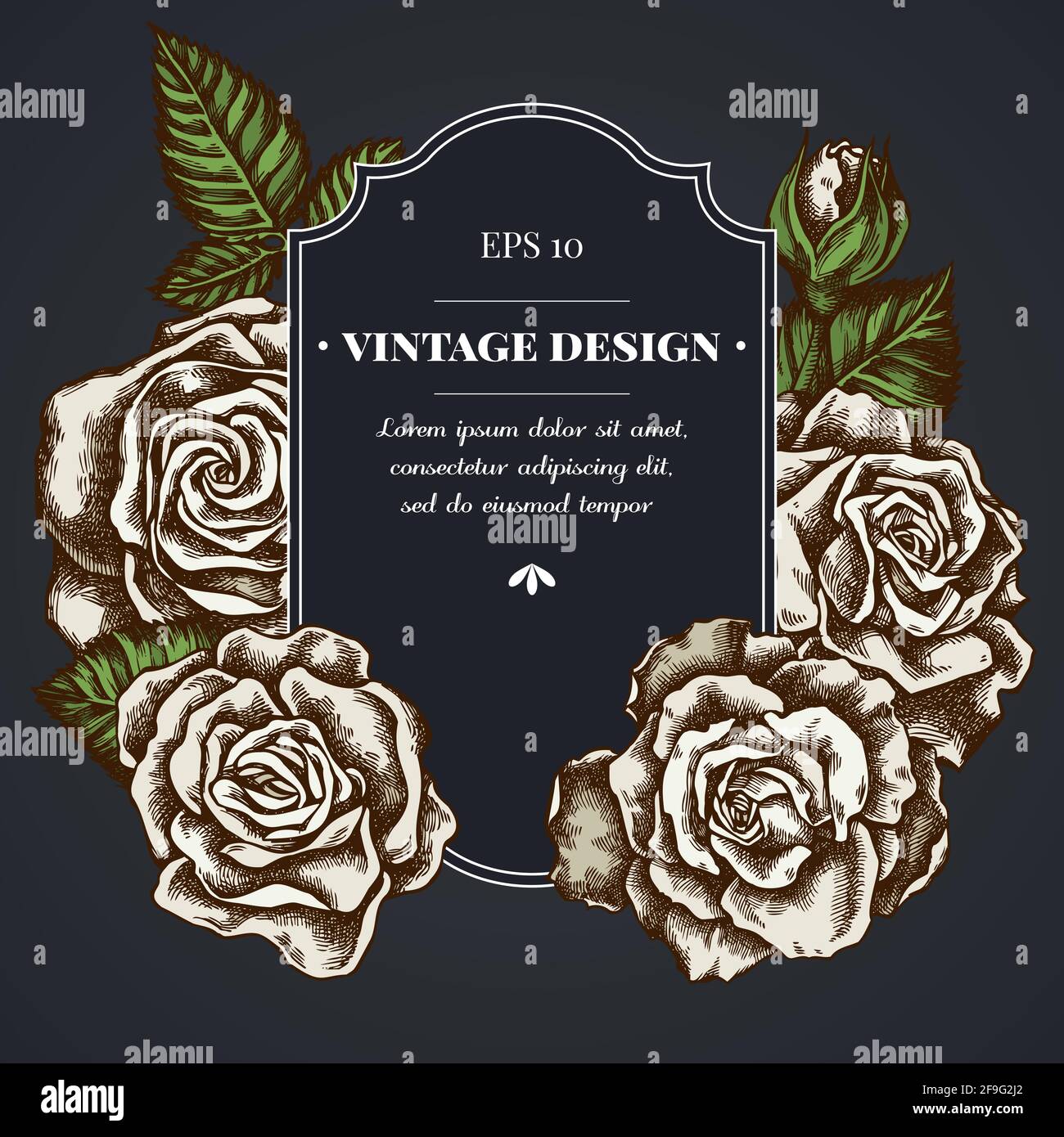 Dark badge design with roses Stock Vector Image & Art - Alamy