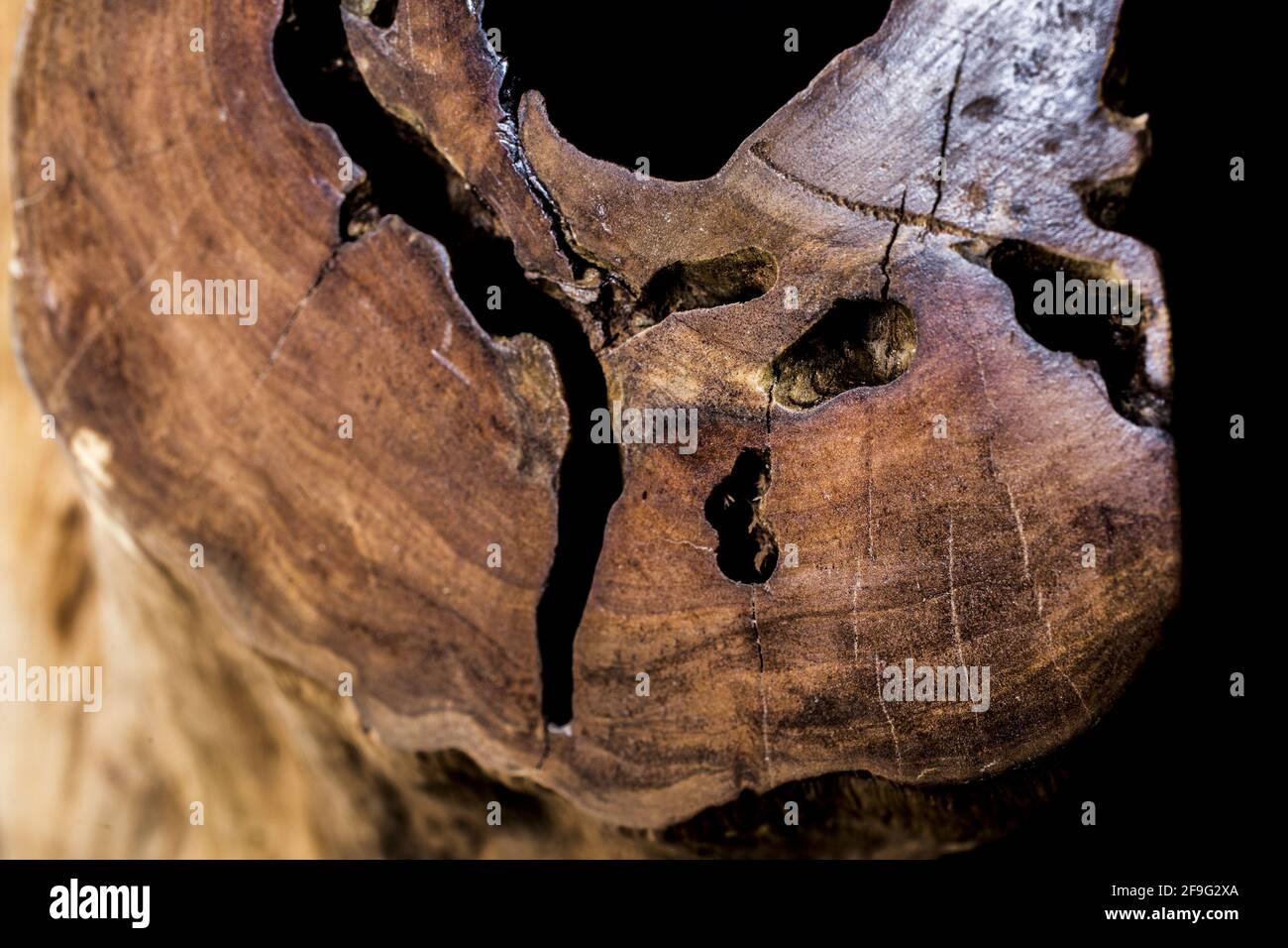 A closeup shot of decorative wood texture. Perfect for background Stock ...