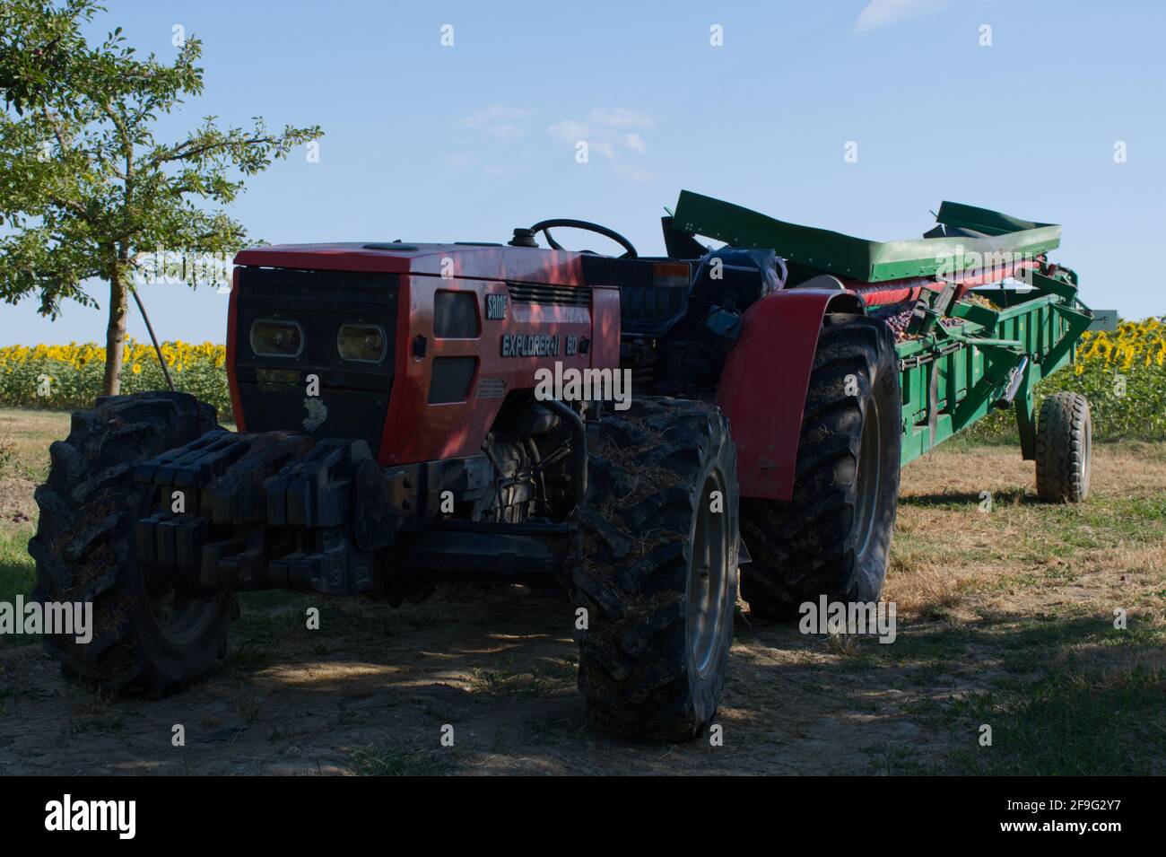 Pruneaux pruneaux hi-res stock photography and images - Alamy