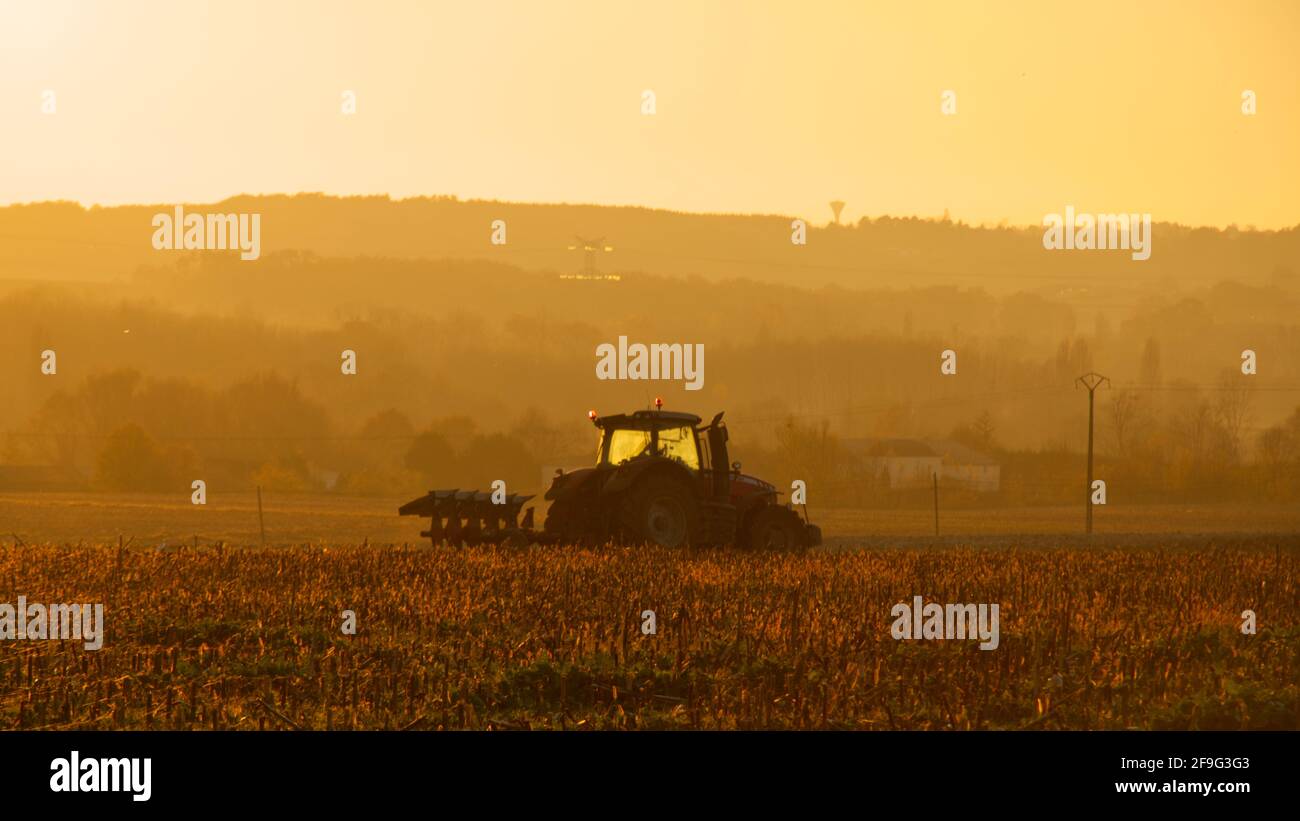Tractor ploughing a harvested maize field in the glow of sunset Stock ...