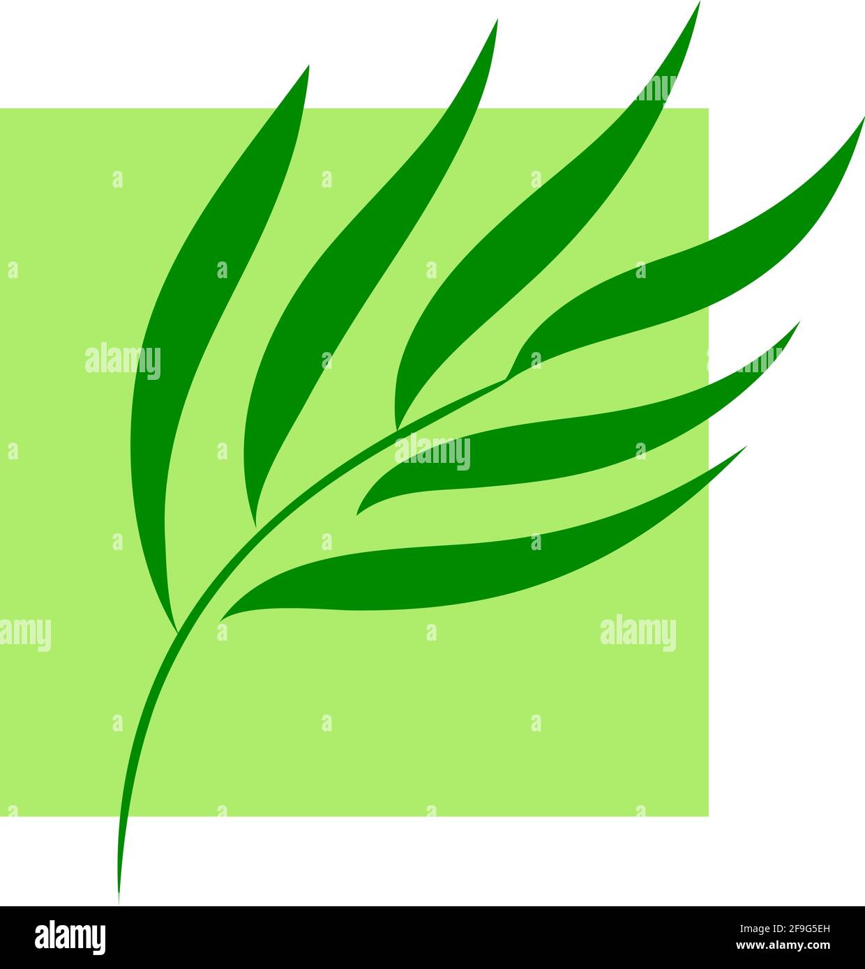 Vector square logo with green plant. A symbol of nature, spa and ...