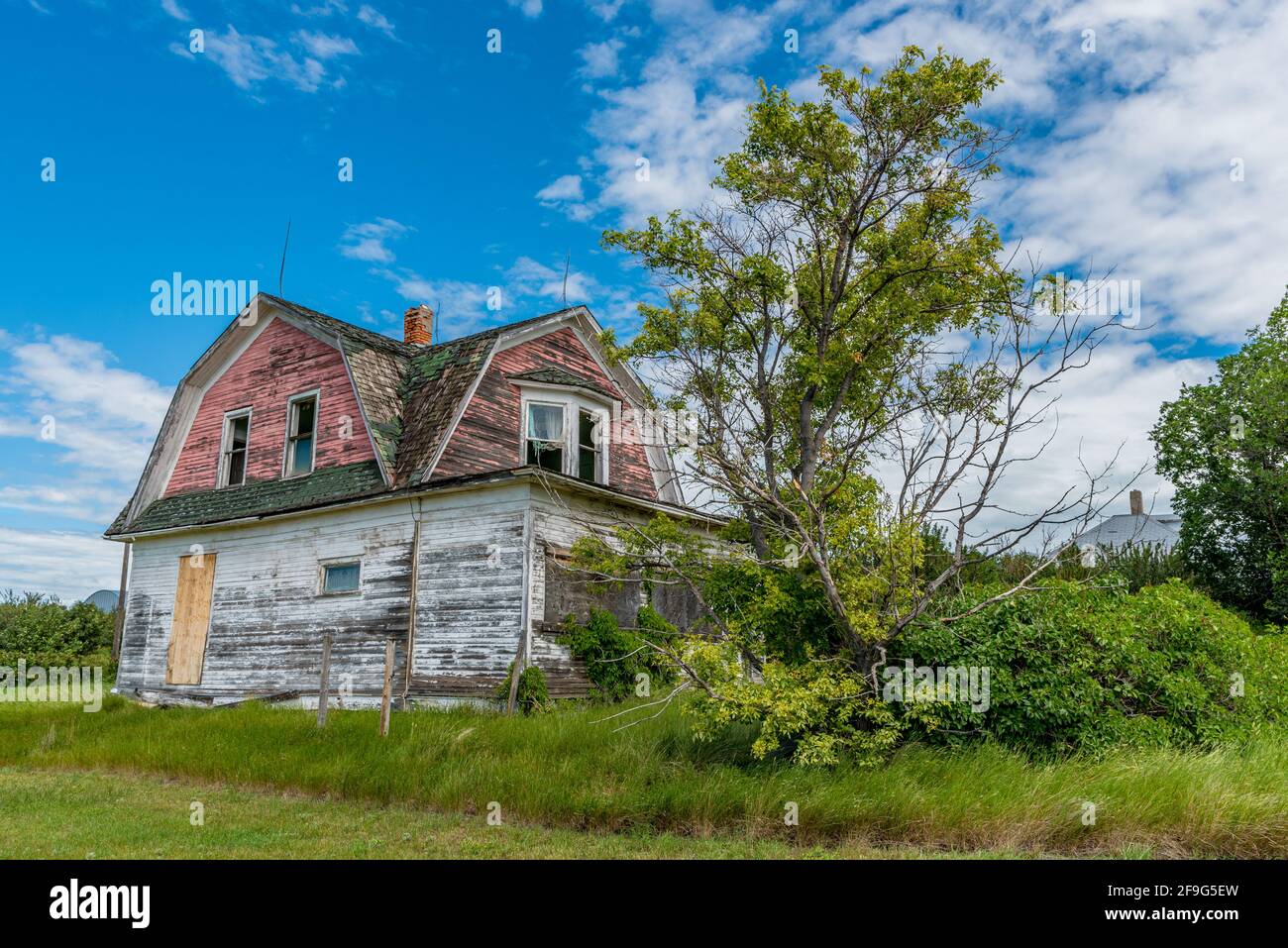 Old, abandoned pink house on the prairies with trees, grass, and blue ...