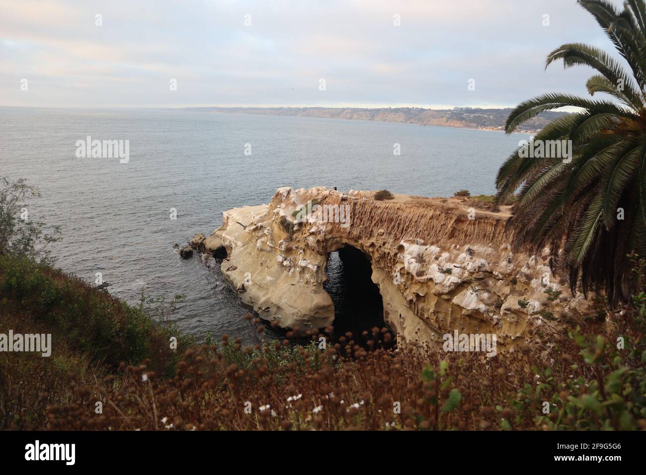 The landscape view of arch of sea cave on the cliffside of La Jolla ...