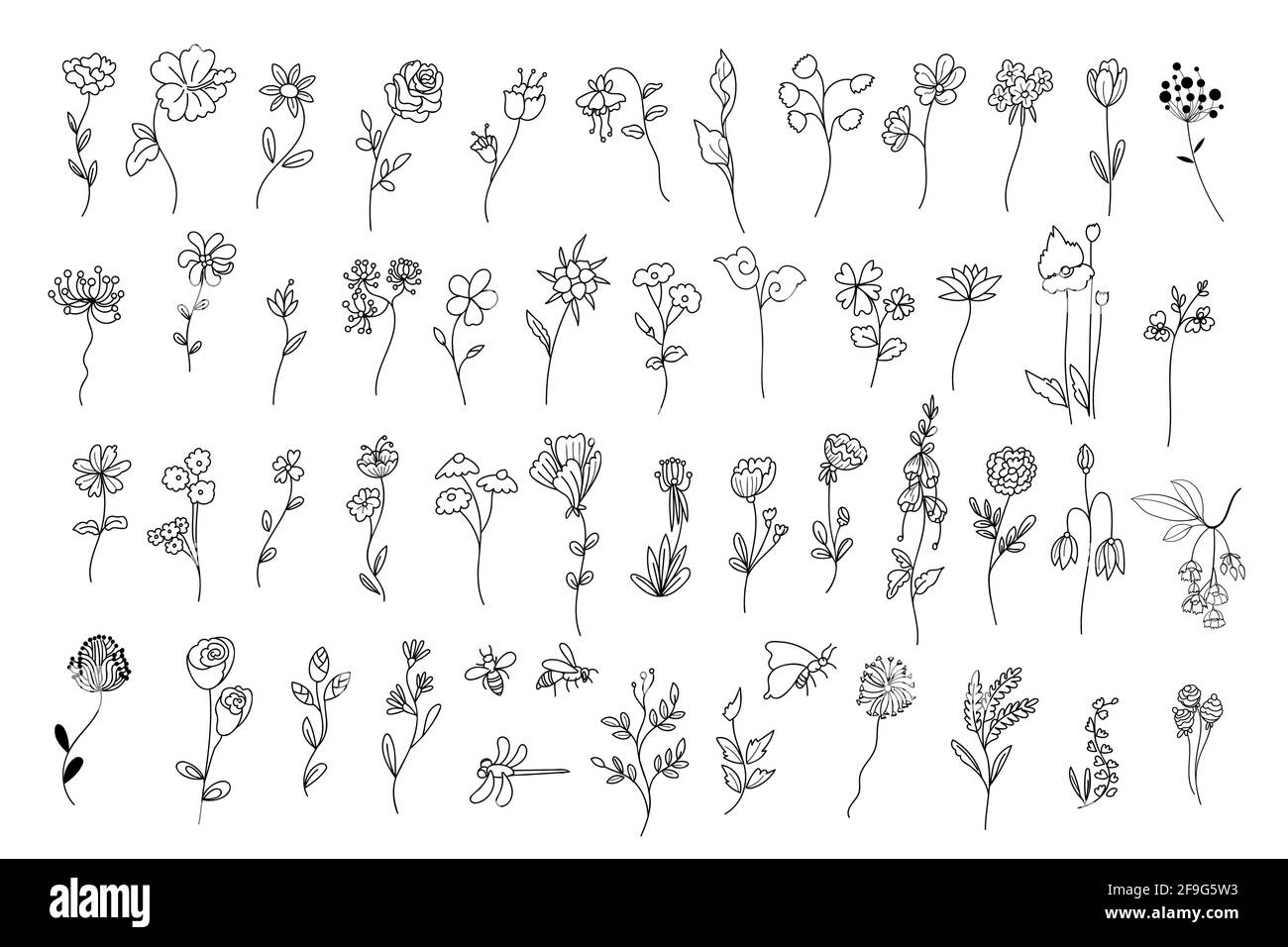 Simple Doodles