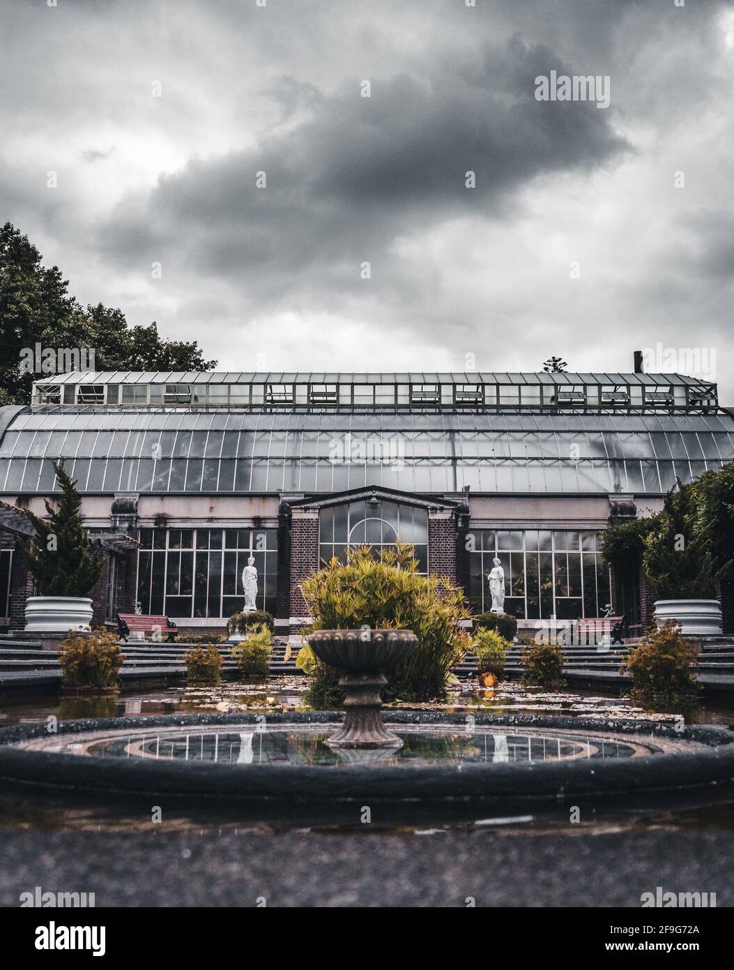 The famous old Auckland Domain park in New Zealand on a gloomy day ...