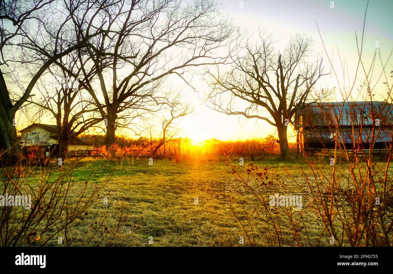 Country Farm Landscapes At Sunset