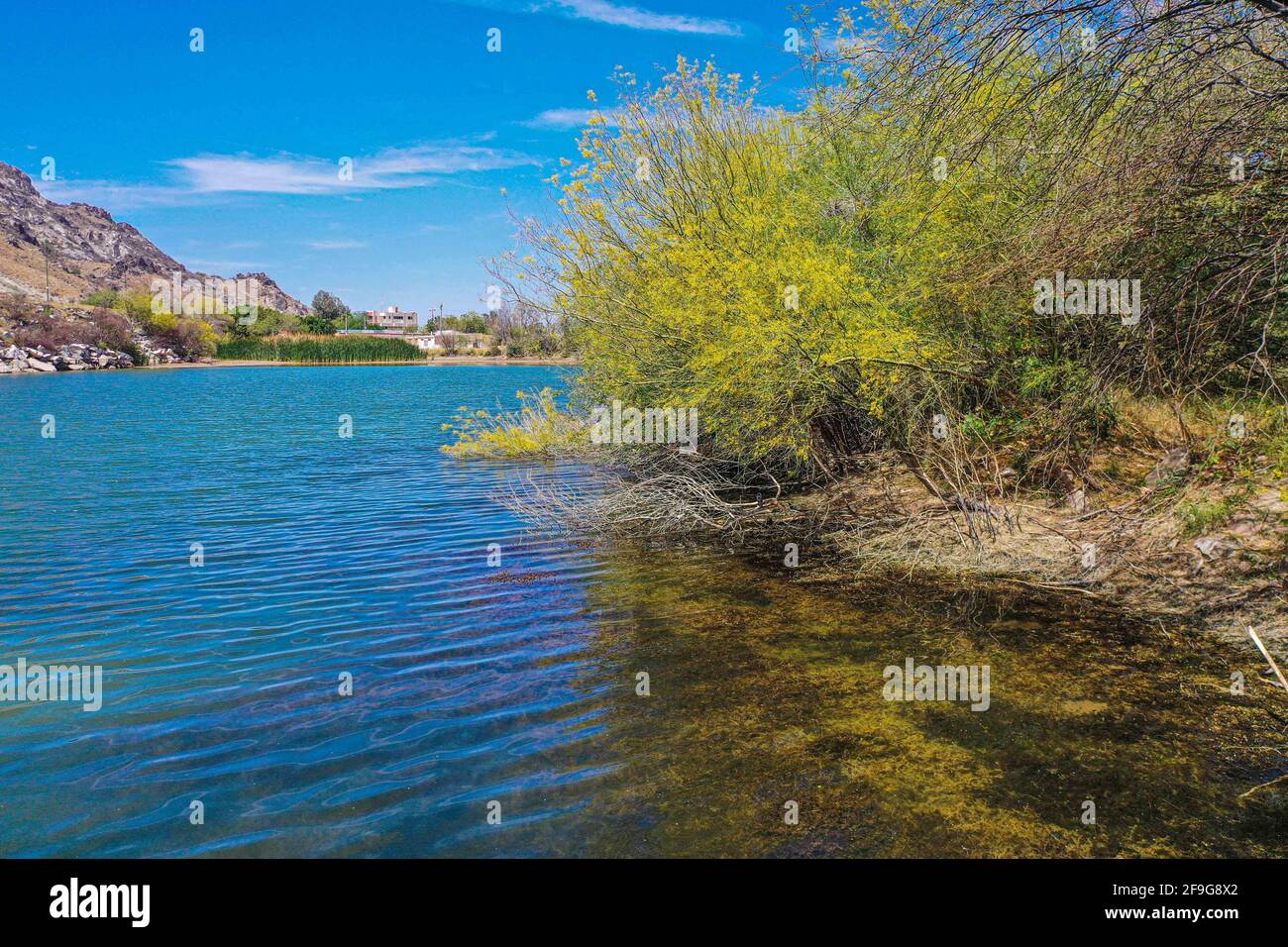 Aerial landscape of the wetland of La Sauceda Hermosillo, Mexico ...