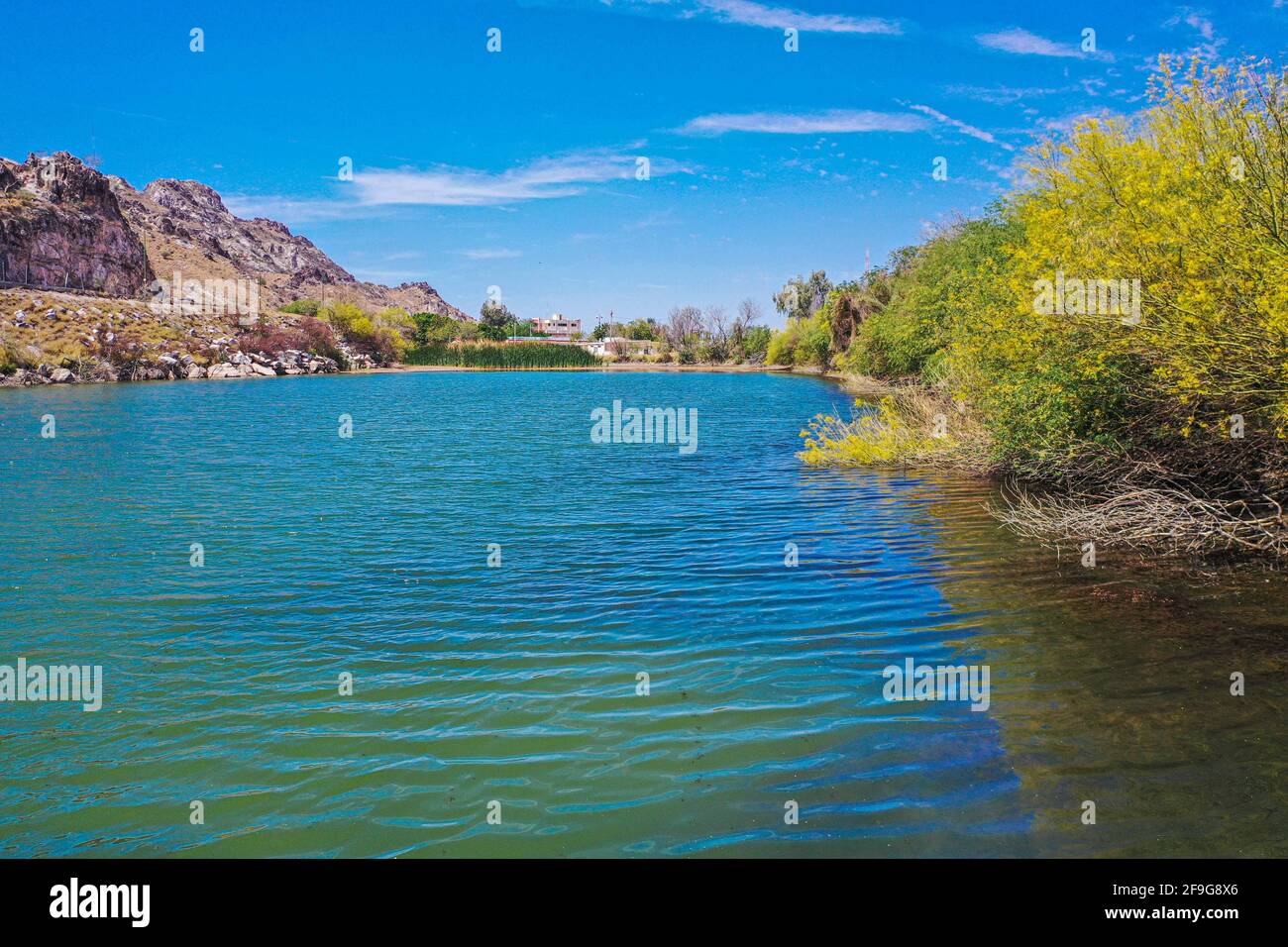 Aerial landscape of the wetland of La Sauceda Hermosillo, Mexico ...