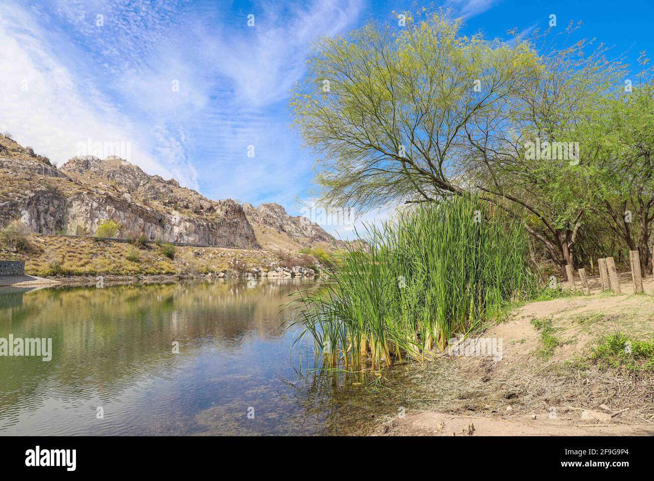 Landscape of the wetland of La Sauceda Hermosillo, Mexico ... lake ...