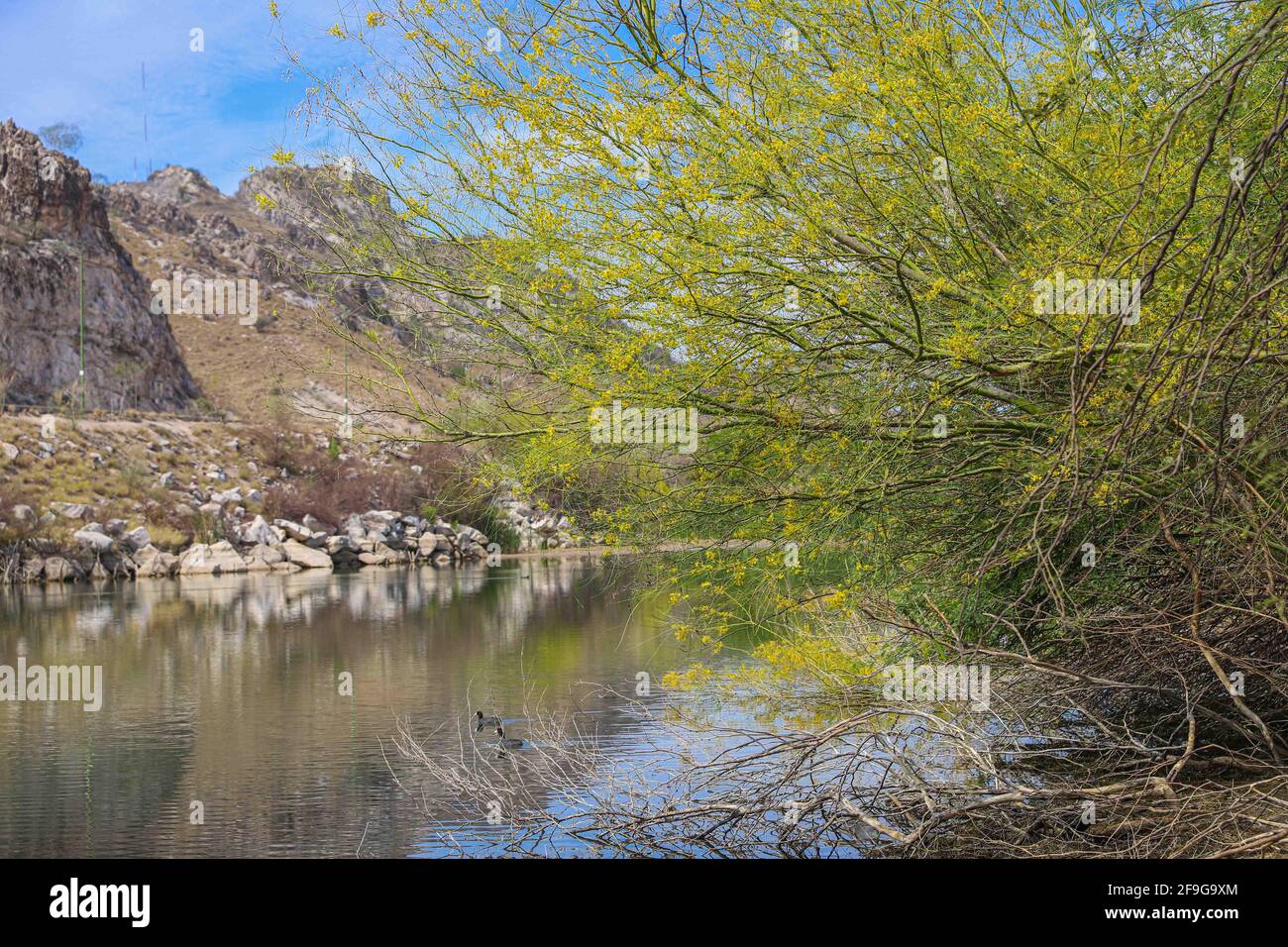 Landscape of the wetland of La Sauceda Hermosillo, Mexico ... lake ...
