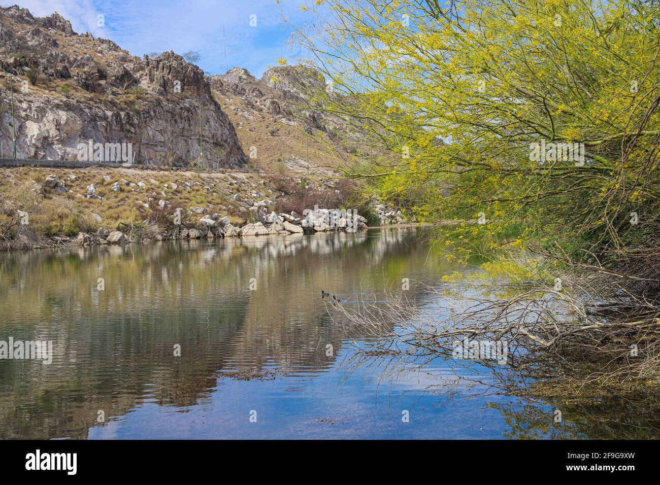 Landscape of the wetland of La Sauceda Hermosillo, Mexico ... lake ...