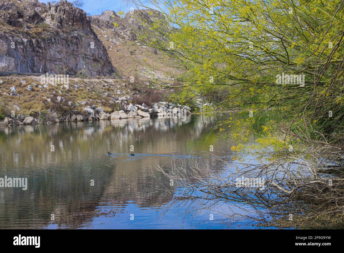 Landscape of the wetland of La Sauceda Hermosillo, Mexico ... lake ...