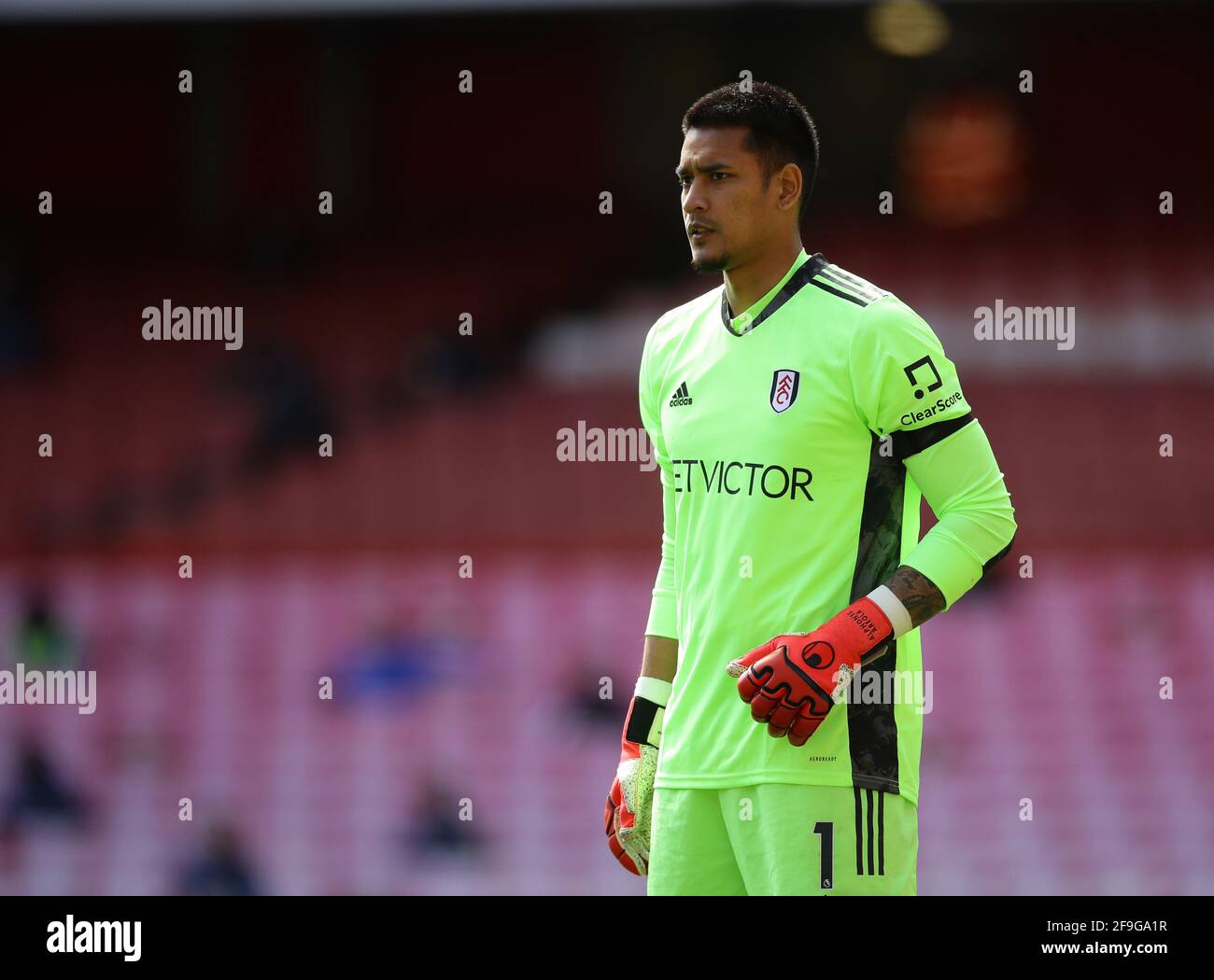 Areola hi-res stock photography and images - Alamy