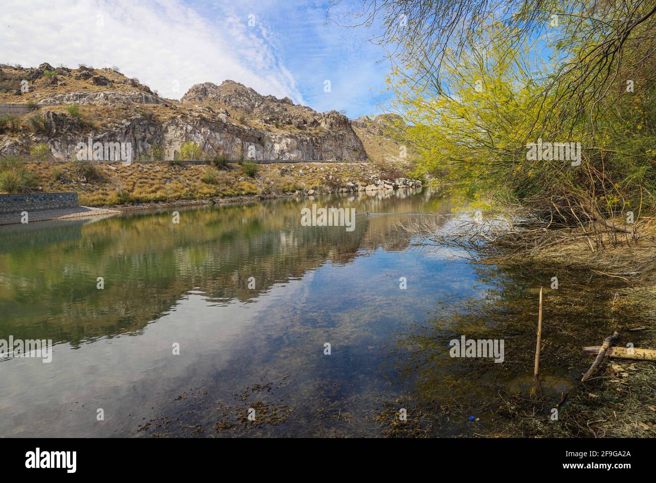 Landscape of the wetland of La Sauceda Hermosillo, Mexico ... lake ...