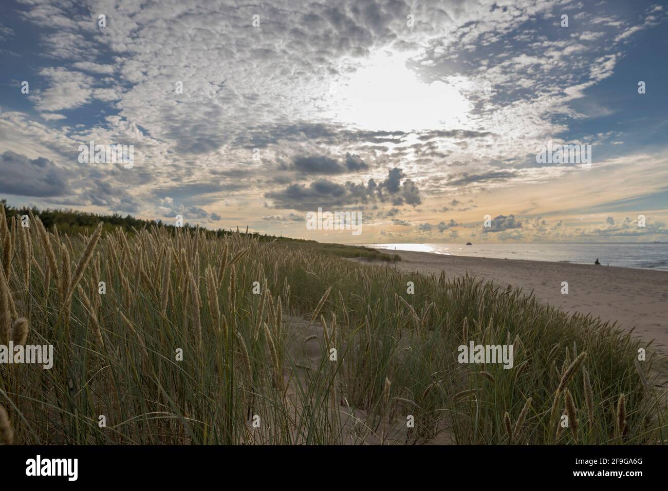 Beautiful nature landscape view baltic hi-res stock photography and ...