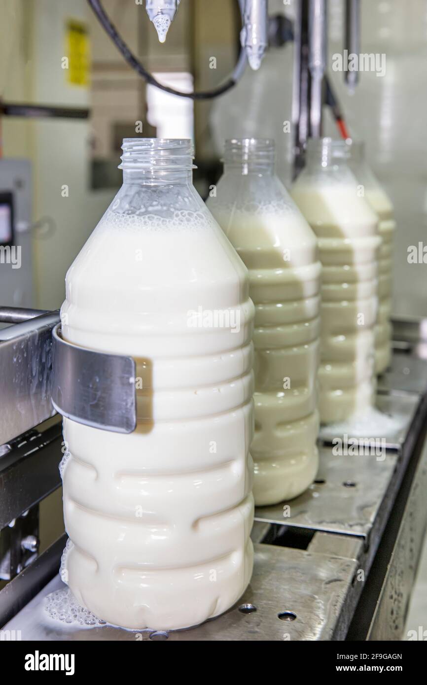 Filling milk into plastic bottles at the factory. equipment in dairy ...