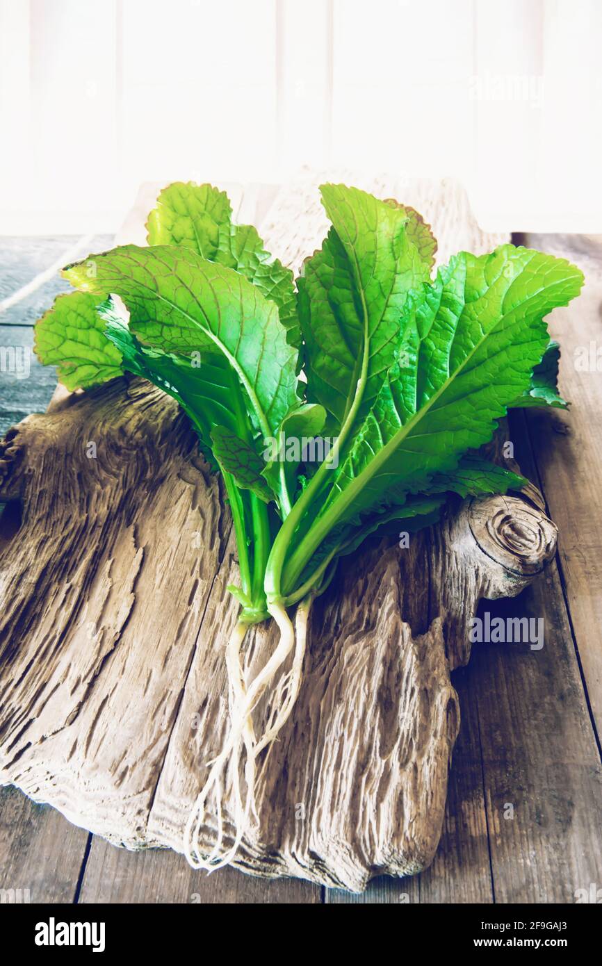 Mustard greens hi-res stock photography and images - Alamy