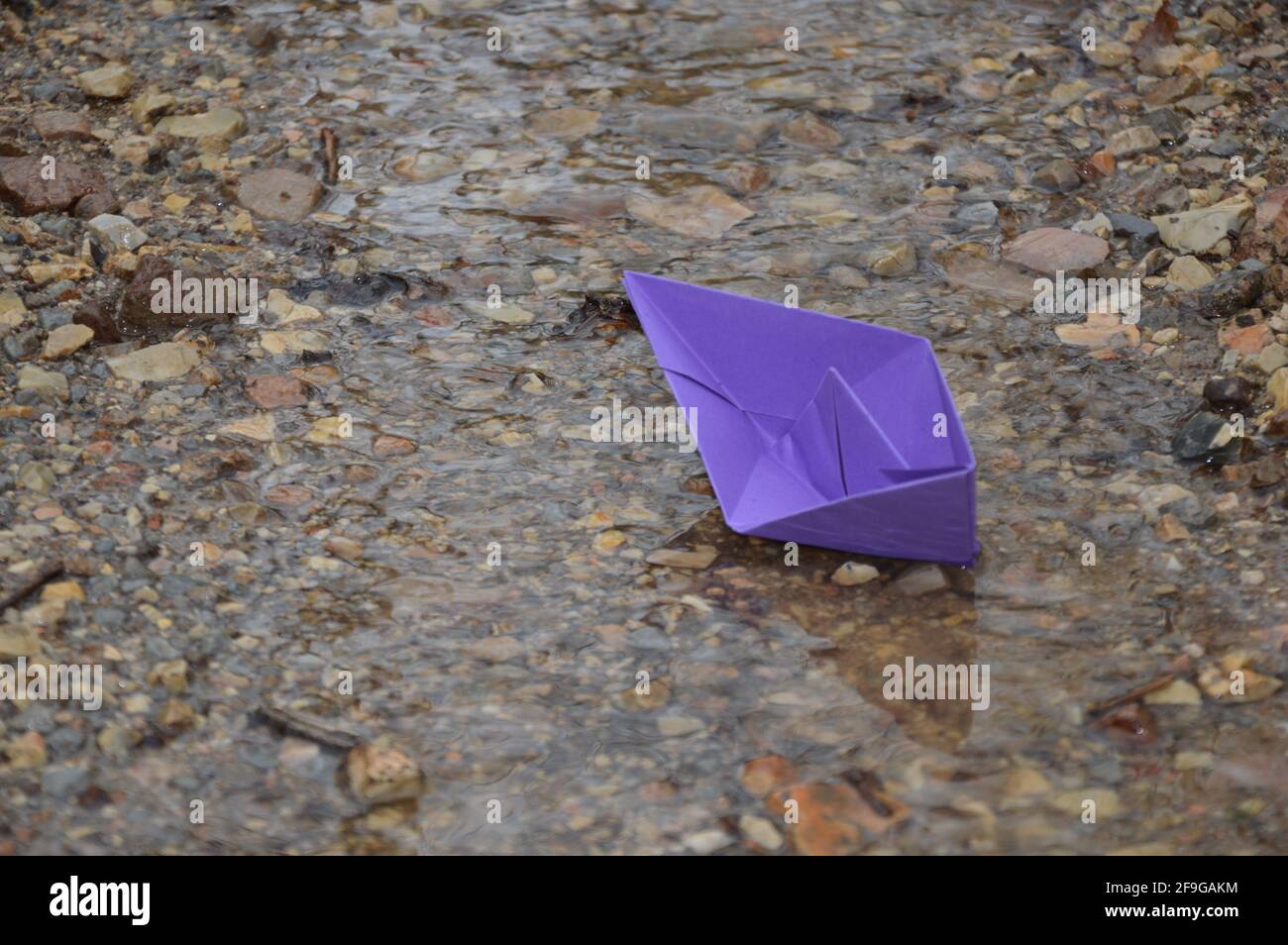A view of a violet paper boat floating on the water Stock Photo - Alamy
