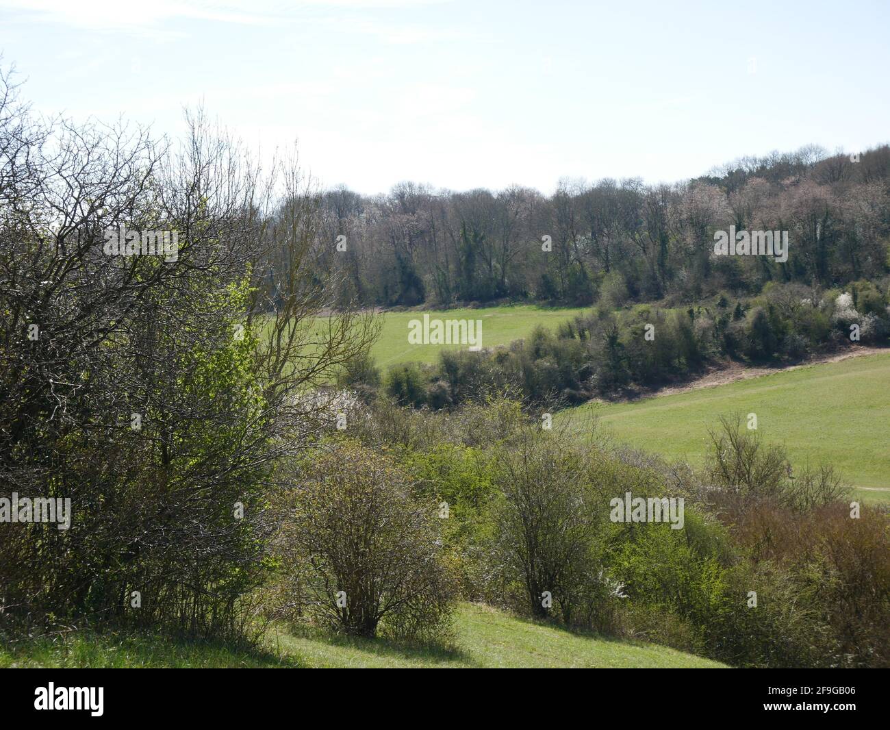 Farthing downs coulsdon hi-res stock photography and images - Alamy