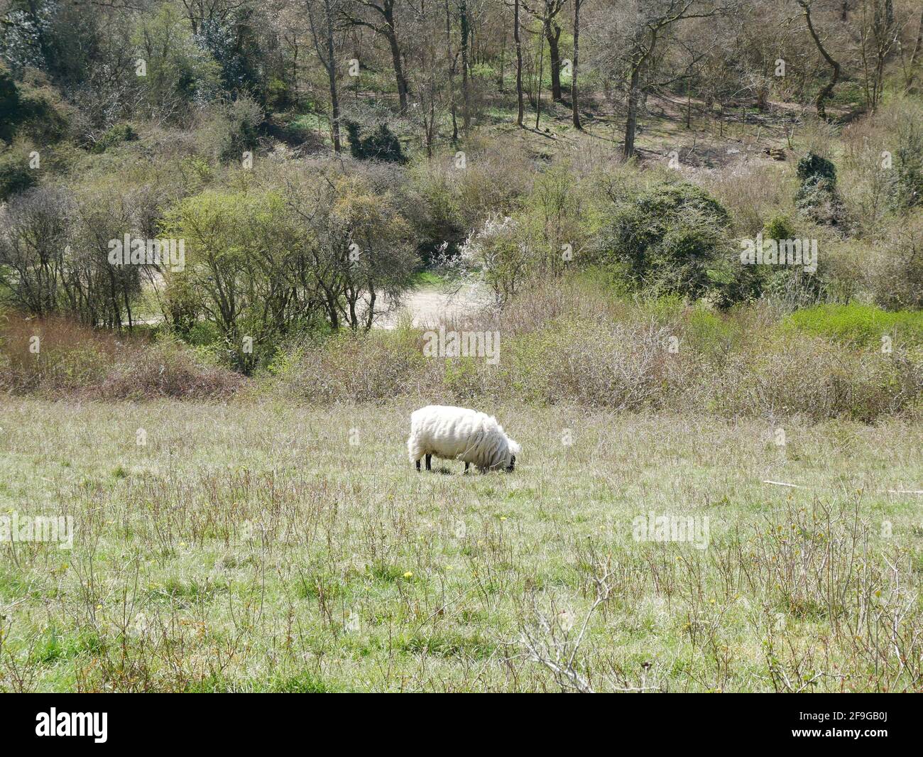 Happy Valley, coulsdon, Surrey, England Stock Photo - Alamy