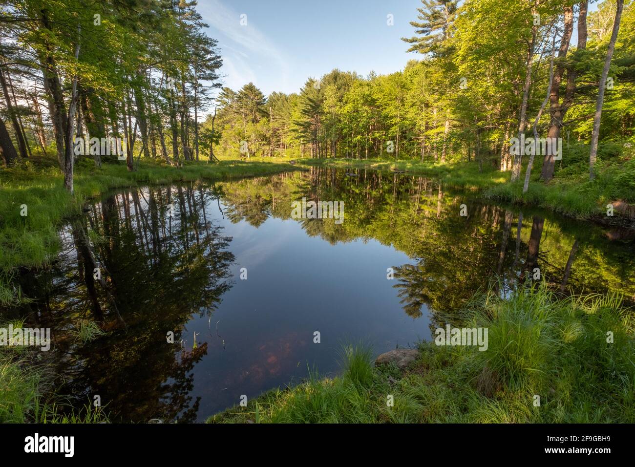 Petersham Massachusetts High Resolution Stock Photography and Images ...